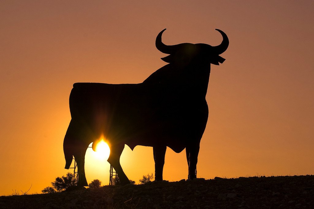 Toro Osborne | TOREO Y ARTE