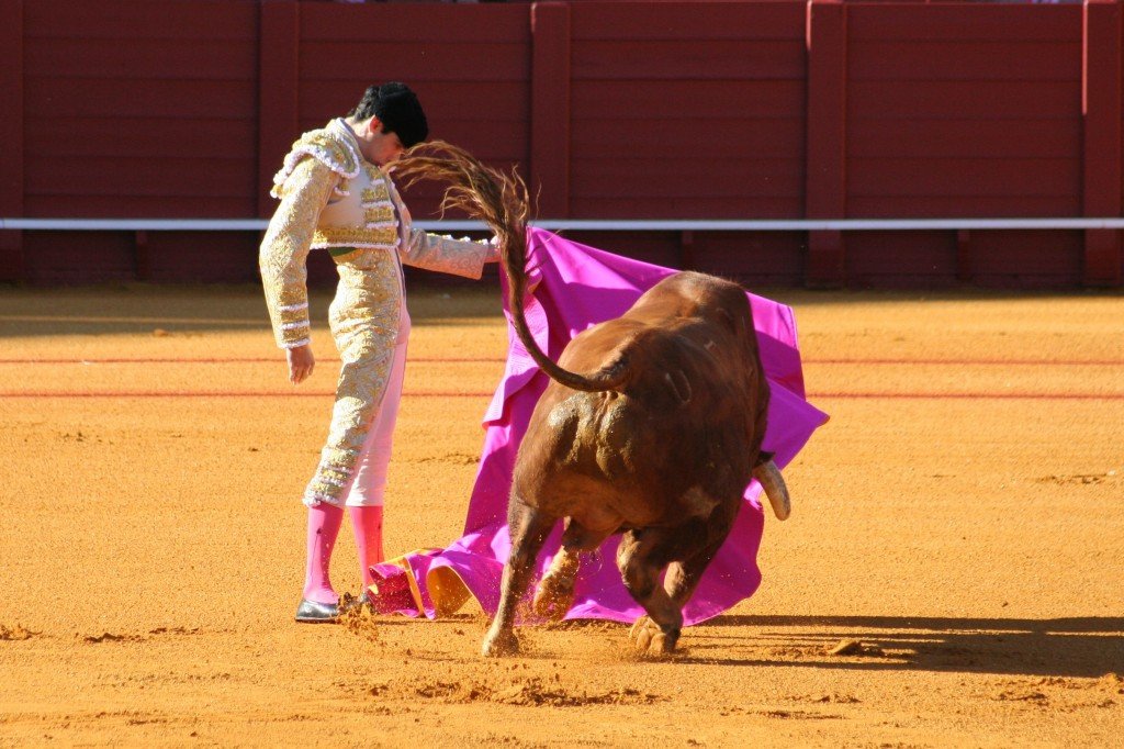 image | TOREO Y ARTE